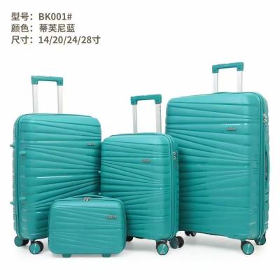 Cina New Hot Sale Product Custom 14 Inch 20 Inch 24 Inch 28 Inch Rolling PP Luggage Trolley Suitcase For Sale in vendita