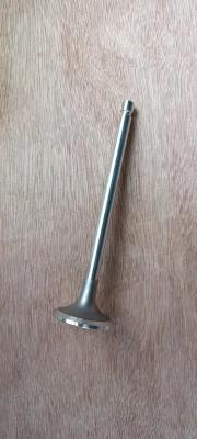 China LGMC C5307875 Diesel Engine Spare Parts Valve Int Good Parts OEM for sale