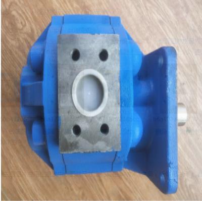 中国 良質11C0010の歯車ポンプのためのLGMCのさまざまなモデル 販売のため