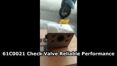 61C0021 check valve