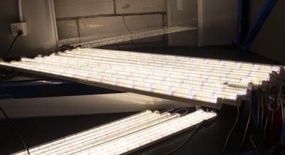Cina le luci progressive della serra 20w hanno condotto Herb Grow Light Size 90cm per l'agricoltura dell'interno in vendita