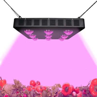 China O diodo emissor de luz IP65 interno de poupança de energia cresce a ESPIGA clara para o rendimento alto escalado da planta médica à venda