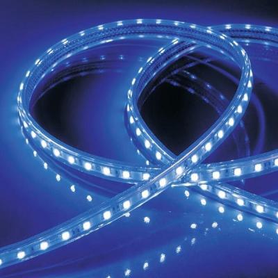 China High Voltage LED Strip Light Waterproof RGB Version for sale
