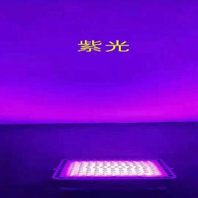 Cina L'alta acqua del lume rinforza il proiettore solare 50w del LED a 300w con colore leggero differente in vendita