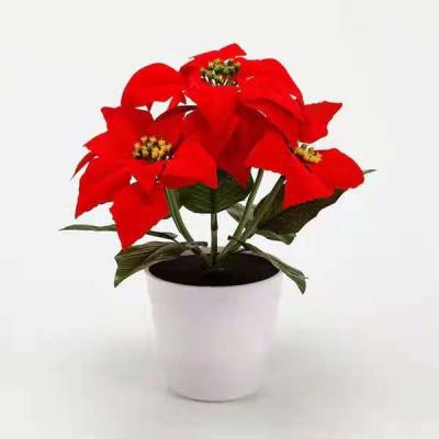 Cina La garanzia 110lum 3pcs di Ip65 Cri70 3years ha condotto le luci solari del fiore in vendita
