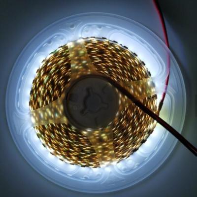 Cina Luce di striscia lineare all'aperto dell'interno IP20 IP65 e IP67 Smd2835 in vendita