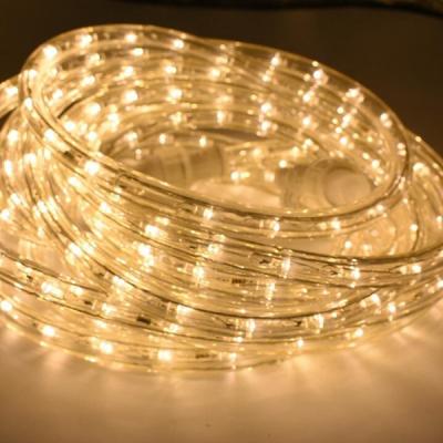 China Rgb 12 Volt 6500k Waterproof Led Rope Lights Outdoor for sale