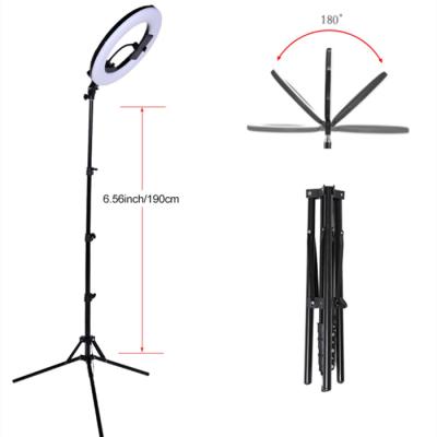 Cina Lampadine a 12 pollici di Ring Light Indoor Led Light di trucco dell'ABS 5V in vendita