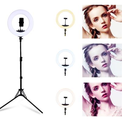 Cina Lampadine a 12 pollici di Ring Light Indoor Led Light di trucco dell'ABS 5V in vendita