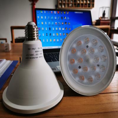 China LED Smd Par38 Spot Light 2700K For Exhibition for sale