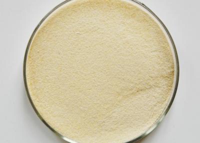 China 11138-66-2 Drilling Fluid Chemicals Industrial Grade Xanthan Gum For Drilling Mud 80 Mesh for sale