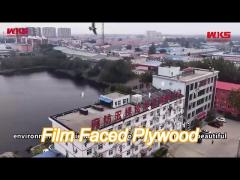 flexible custom size plywood red / black concrete form plywood for concrete formwork