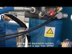 Compressore d'aria a vite combinato laser a fibra DBZY 20A 15KW 16BAR