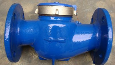 China Dry type Irrigation water meter for sale