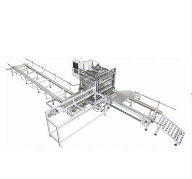 China IBC Grid Cage Frame Automatic Production Line, Full Automatic IBC Tank Leakage Testing Machine Line for sale