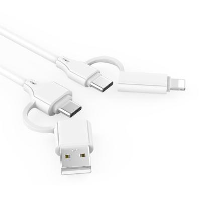 China Compact 2-in-1 USB Charging Cable For Lightning & Type - C Devices for sale