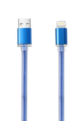 China OEM Blue USB Charge Smart Devices with AC&AL 12W Output for sale