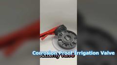 Butterfly Valve