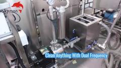 Dual Frequency Ultrasonic Cleaner