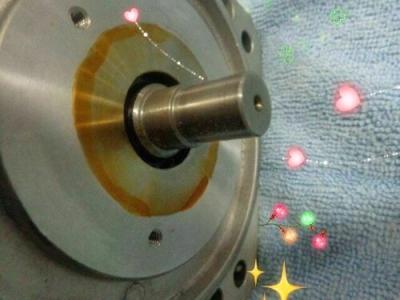 China Yaskawa USASEM-08FJ21 AC SERVOMOTOR 771W 3000RPM 200V 5.3A NIEUW Te koop