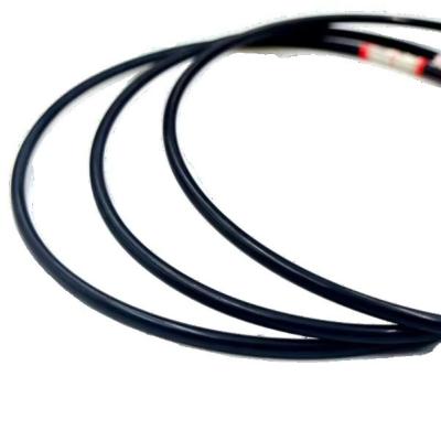 China 30-90 Shore A EPDM/NBR/FKM/Silicone Colored Big Fluoro O-Ring Seal for Air Compressor for sale