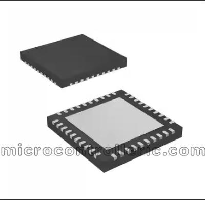 中国 TLV320AIC3007IRSBR Interface CODECs Lo Pwr St CODEC W/ Integr Class D Amp 販売のため