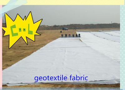 China erosion control netting 200g m2 Pp woven geotextile for agriculture for sale