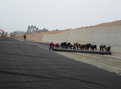 China China HDPE Geomembrane/pond liner/LDPE geomembrane, China HDPE Geomembrane/pond liner/LDPE geomembrane for sale