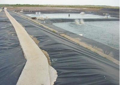 China HDPE Geomembrane /LDPE Geomembrane/pond liner,HDPE Geomembrane /LDPE Geomembrane/pond liner for sale