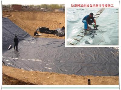 China barramundi fish farm HDPE geomembrane,barramundi fish farm HDPE geomembrane for sale