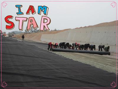 China HDPE Geomembrane 2mm,HDPE Geomembrane 2mm,HDPE Geomembrane 2mm for sale