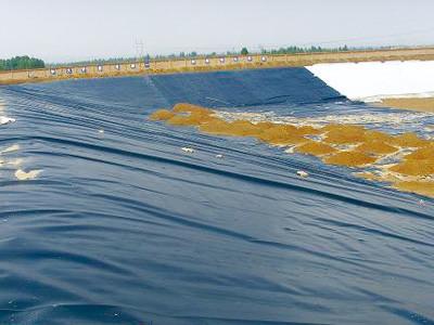 China 60 mil hdpe Geomembrane / 60 mil hdpe liner Experienced Manufacture for sale