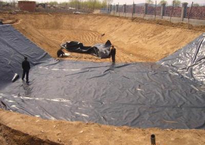 China HDPE geomembrane supply ISO/BV fish farm pond liner hdpe geomembrane for sale