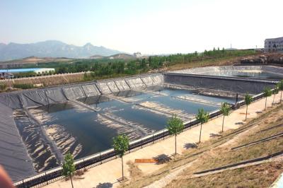 China competitive price hdpe membrane waterproof geomembrane.competitive price hdpe membrane waterproof geomembrane for sale