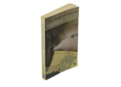 China Self Publishing Wood Free Book Printing Novel Printing Services Black On White Color for sale