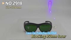 Laser Safety Glasses