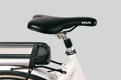 Cina Deragliatore di alluminio urbano di Shimano della pagina delle bici 250W 48V delle ragazze a 26 pollici E in vendita