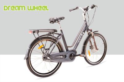 Cina freno a disco elettrico della bici EN15194 25km/H del metà di motore della città di 36V 250W per la parte anteriore in vendita