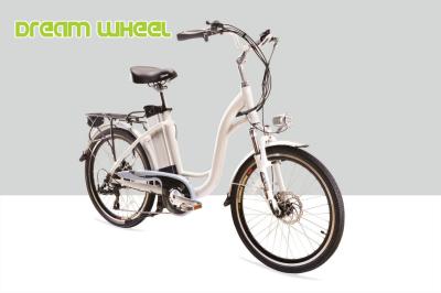 Cina 250W 24