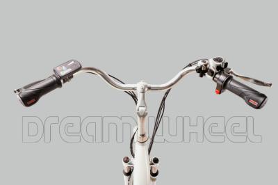 Cina 250W 24