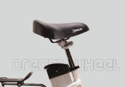 Cina 250W 24