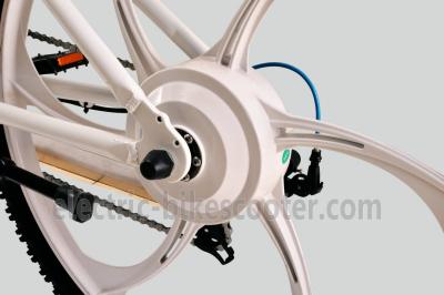 Cina bicicletta elettrica della montagna di 36V 250W, mountain bike elettrico con la sospensione in vendita