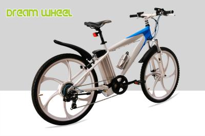 Cina bicicletta elettrica della montagna di 36V 250W, mountain bike elettrico con la sospensione in vendita