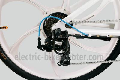 Cina bicicletta elettrica della montagna di 36V 250W, mountain bike elettrico con la sospensione in vendita