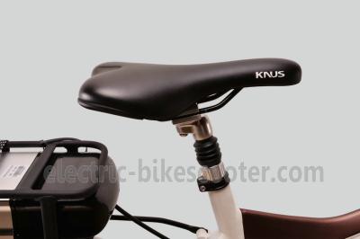 Cina metà di bici 700C Front Wheel elettrico della montagna E dell'azionamento di 36V 350W in vendita