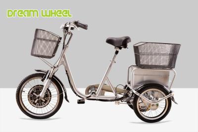 Cina motore senza spazzola elettrico di Trike 48V 350W di aiuto del pedale 25km/H in vendita