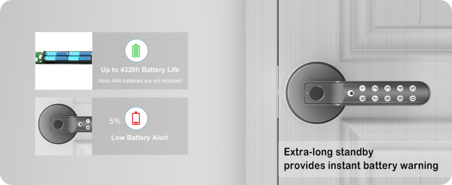 Keyless Entry Door Locks