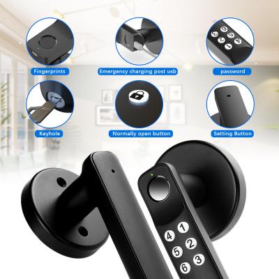 Cina Serratura a portone con impronte digitali, serrature a ingresso senza chiave Serratura a porta biometrica con tastiera in silicone, per appartamento Home Office in vendita