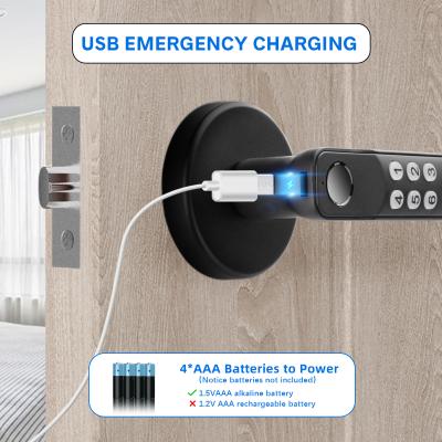 Cina Serratura a portone con impronte digitali, serrature a ingresso senza chiave Serratura a porta biometrica con tastiera in silicone, per appartamento Home Office in vendita