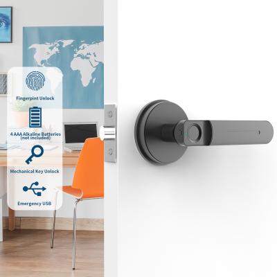 Cina Serratura smart, senza chiave, biometrica, per camera da letto/ufficio in vendita